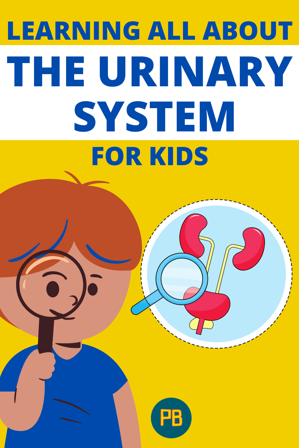 Urine Lesson Plans [Fun Facts About Pee For Kids To Learn]
