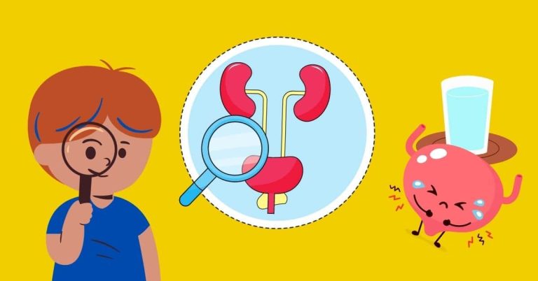 Urine Lesson Plans [Fun Facts About Pee For Kids To Learn]
