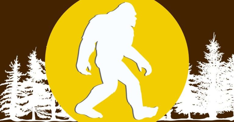 21+ Bigfoot Games And Activities for Kids