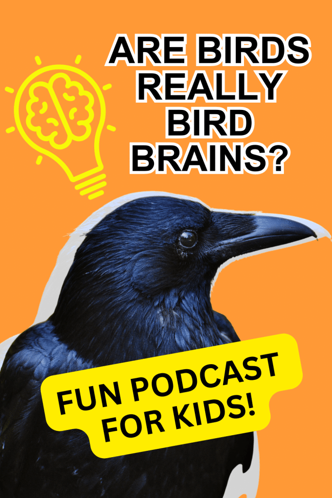 What Does Birdbrain Mean Podcast Episode